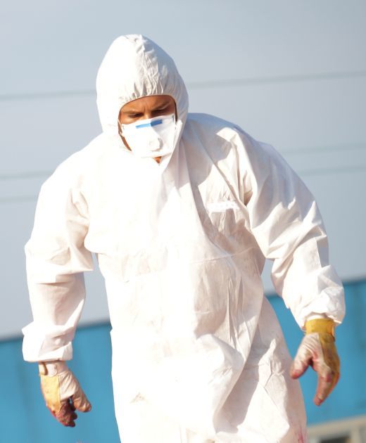 Asbestos Removal Wellington, Palmerston North | Roof Removal